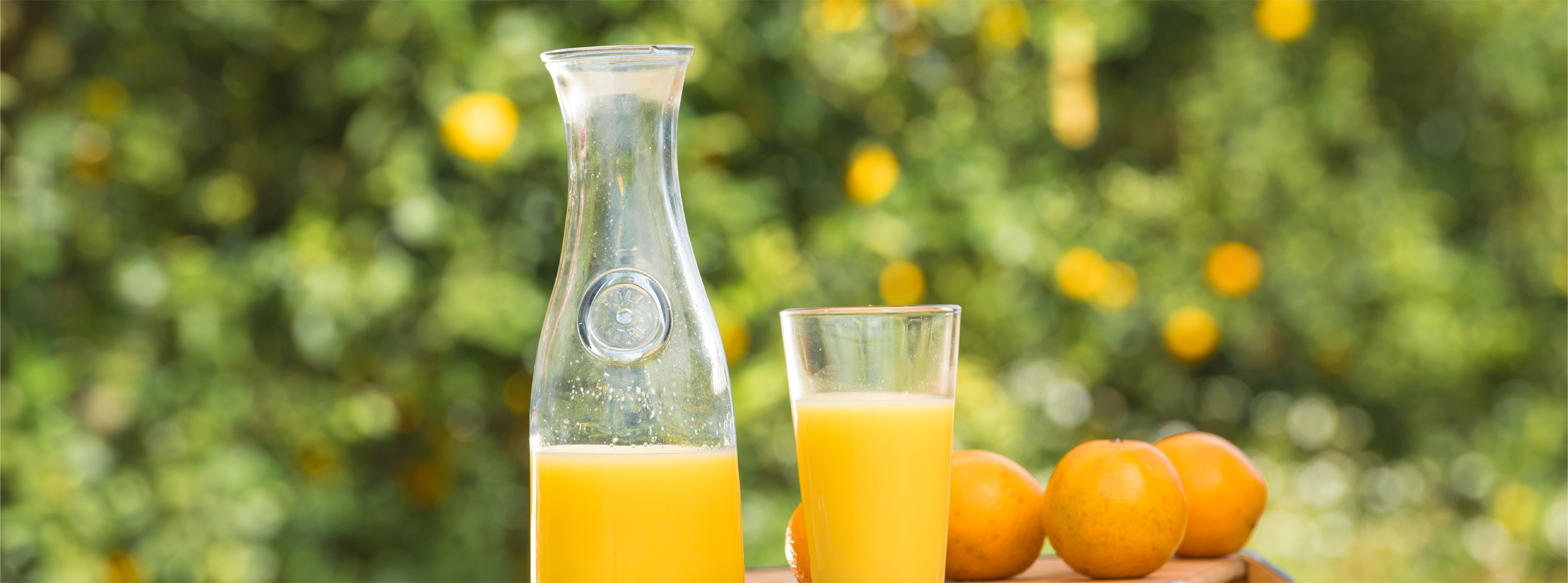 Florida Citrus Growers | Florida Department of Citrus