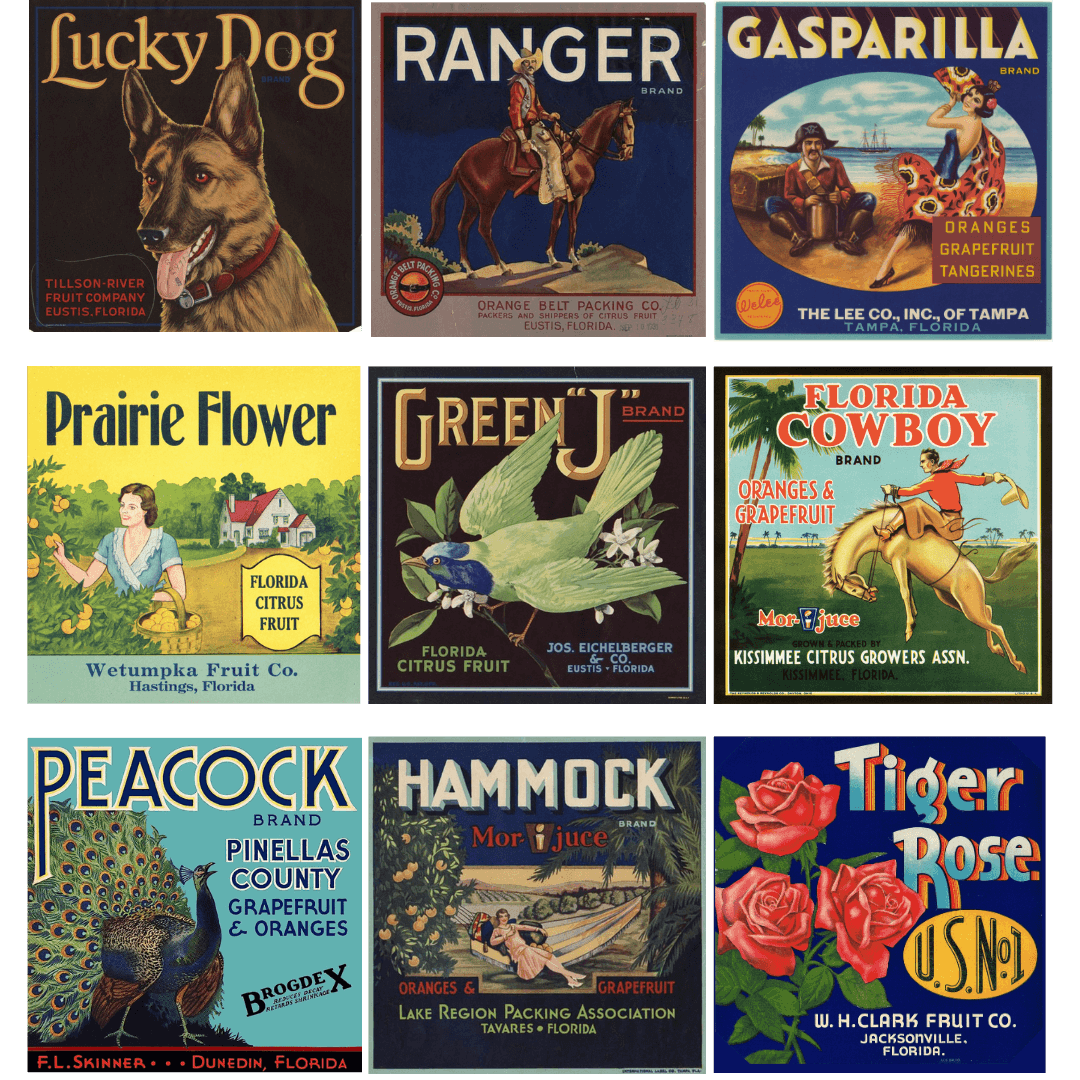 FDOC | Florida Citrus Growers