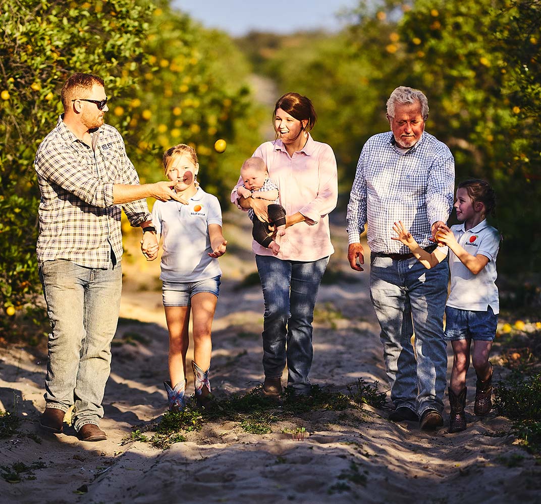 About Florida Citrus - Florida Citrus